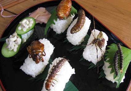 A Foodie’s Dilemma: To Eat or Not to Eat a Bug | Kira Nam Greene